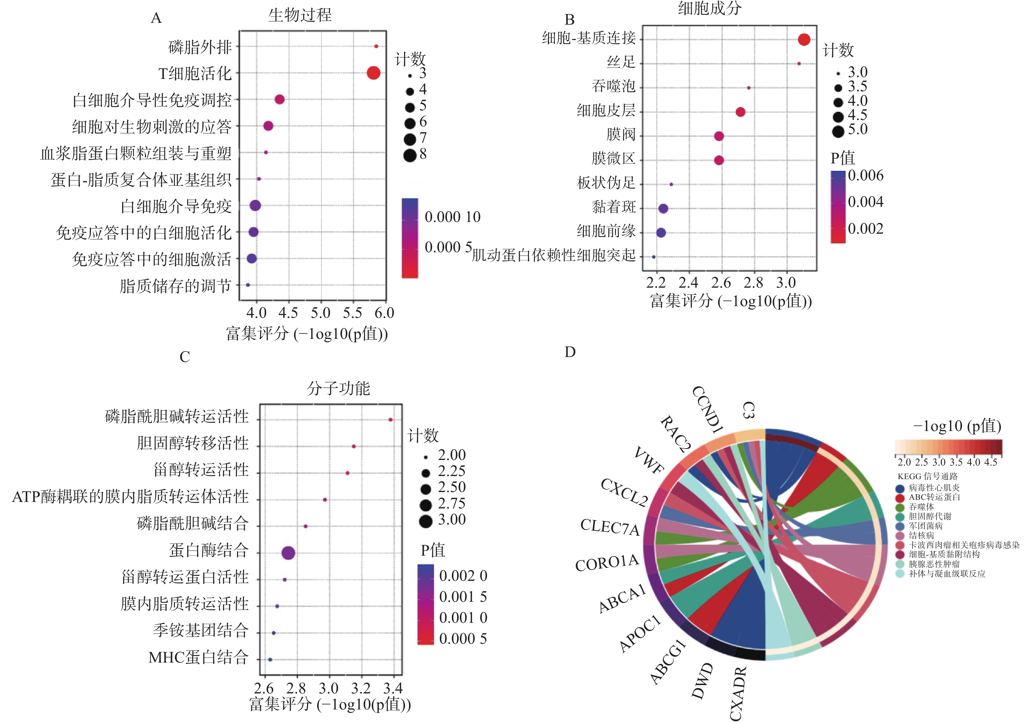 脂代谢相关基因 ASP 和 PPARα 在动脉粥样硬化中的作用