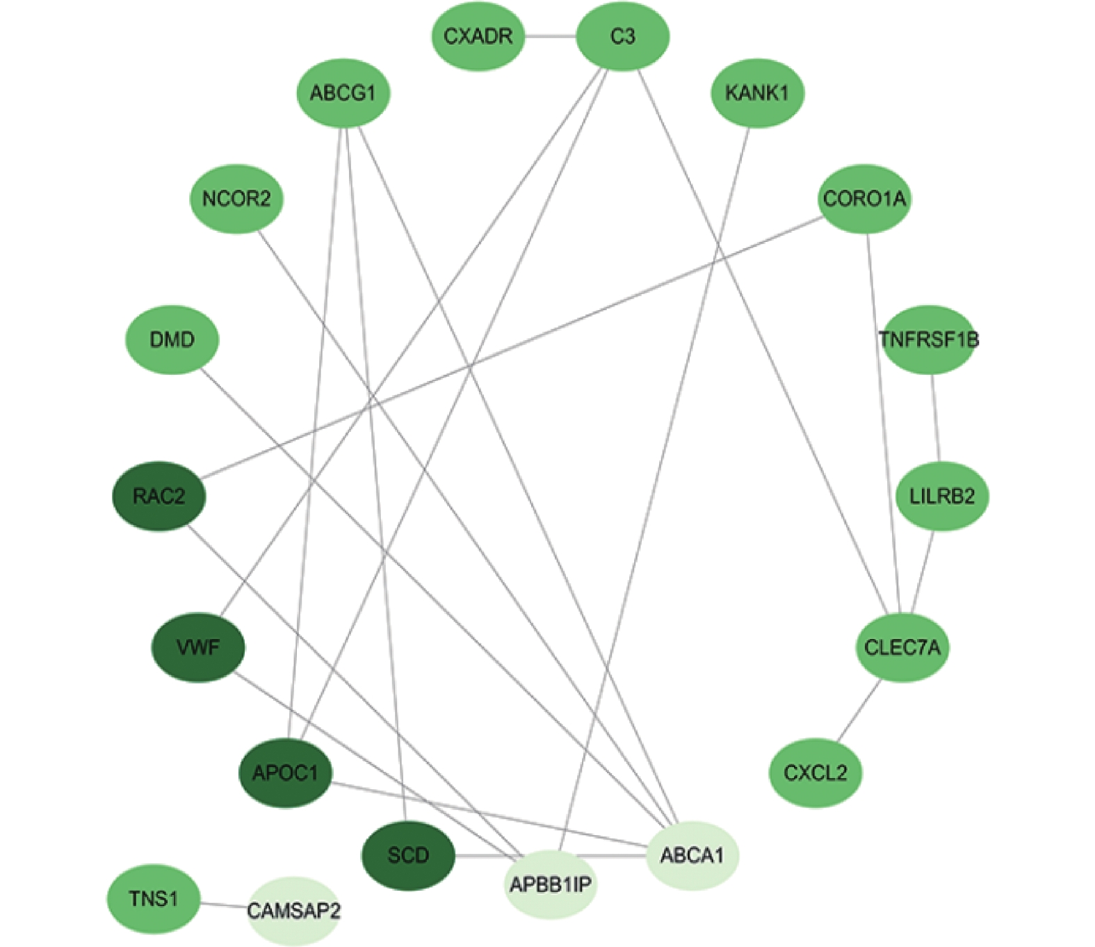 脂代谢相关基因 ASP 和 PPARα 在动脉粥样硬化中的作用