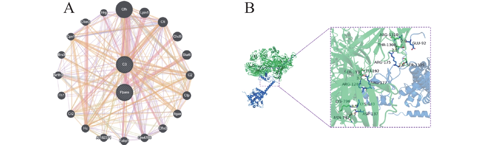 脂代谢相关基因 ASP 和 PPARα 在动脉粥样硬化中的作用