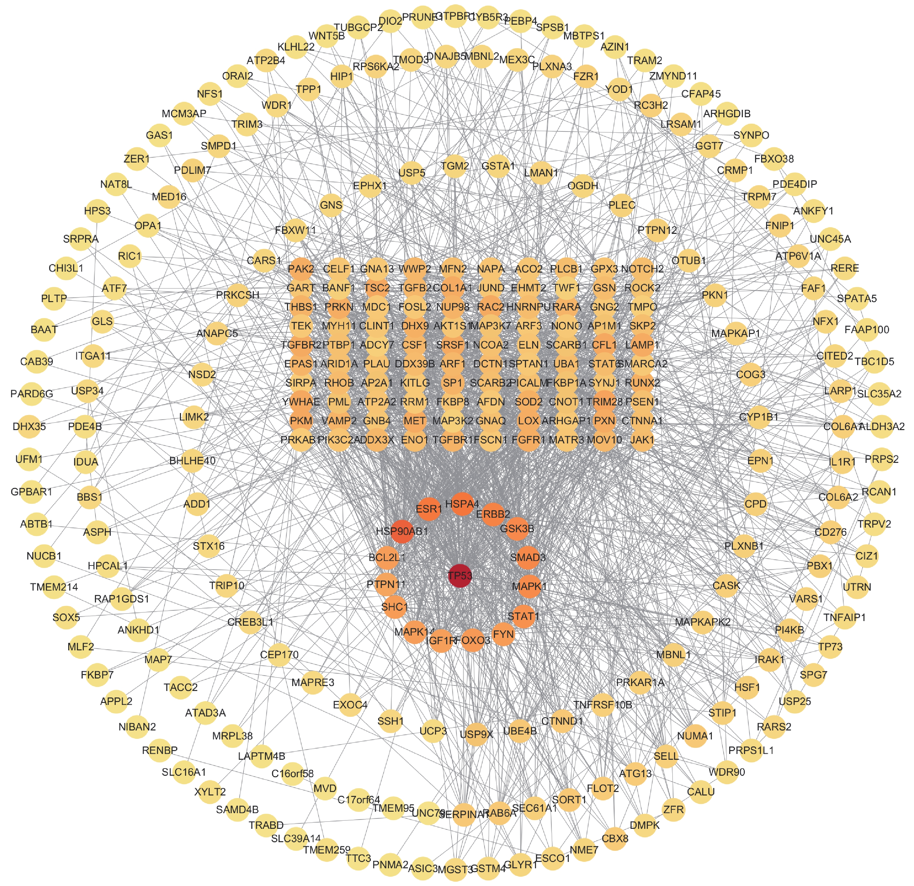 基于逆向网络药理学和分子对接预测治疗骨衰老的中草药活性成分